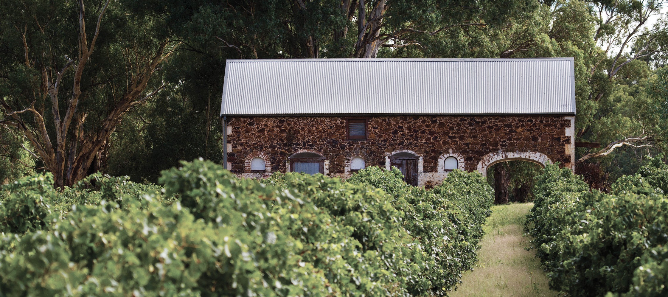 THE [DRINKS] EDIT Cellar – THE [DRINKS] EDIT CELLAR